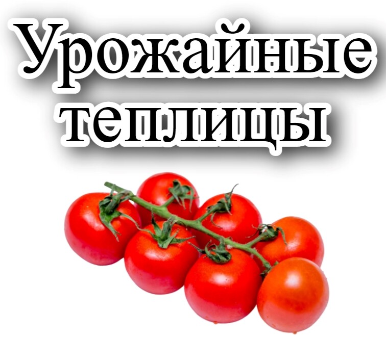 Магазин надёжных и крепких оцинкованных теплиц из поликарбоната со ...