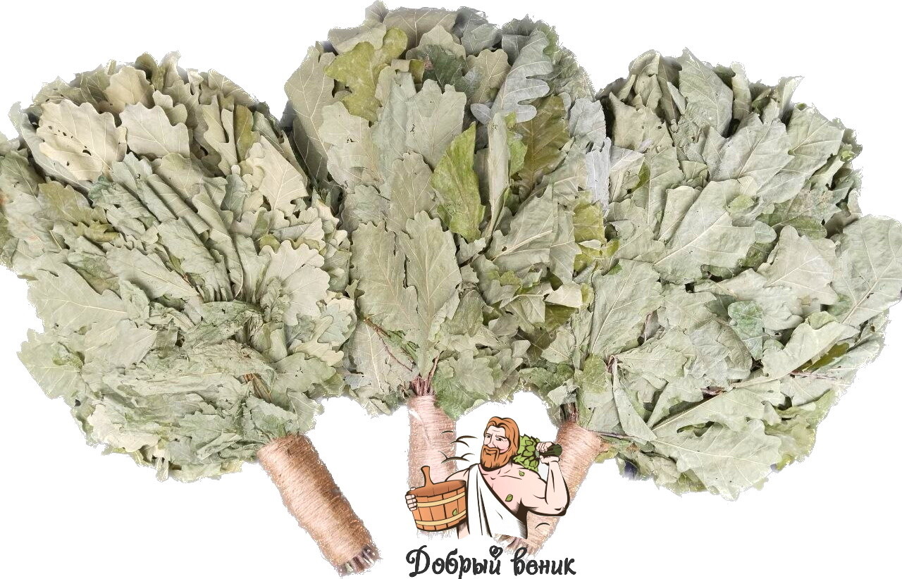 БАННЫЕ ВЕНИКИ